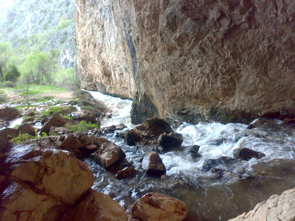 Cave Peshna